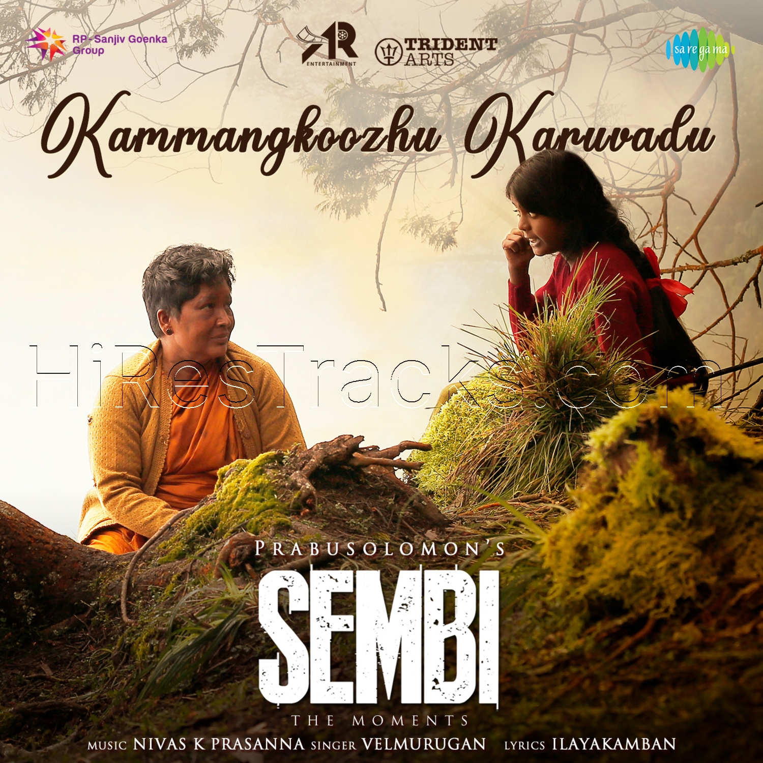 Kammangkoozhu Karuvadu (From Sembi) – Single (2022) (Nivas K Prasanna) (Saregama) [Digital-DL ...