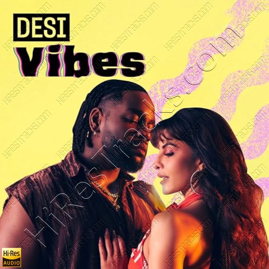 Desi Vibes (2024) (Various Artists) [24 BIT] [Digital-DL-FLAC] – HiResTracks.com
